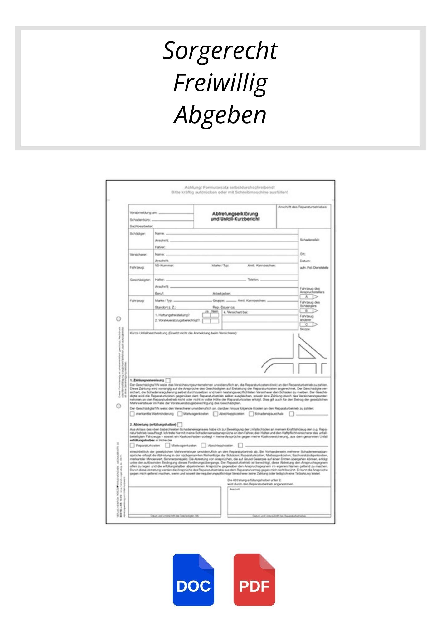 Sorgerecht Freiwillig Abgeben Formular - WORD - PDF